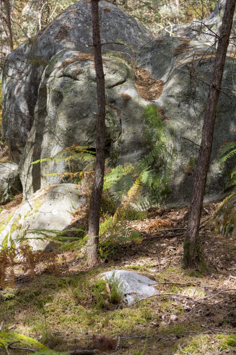 “Prélèvement” N.1 by Gaspard Graulich | ADORNO DESIGN