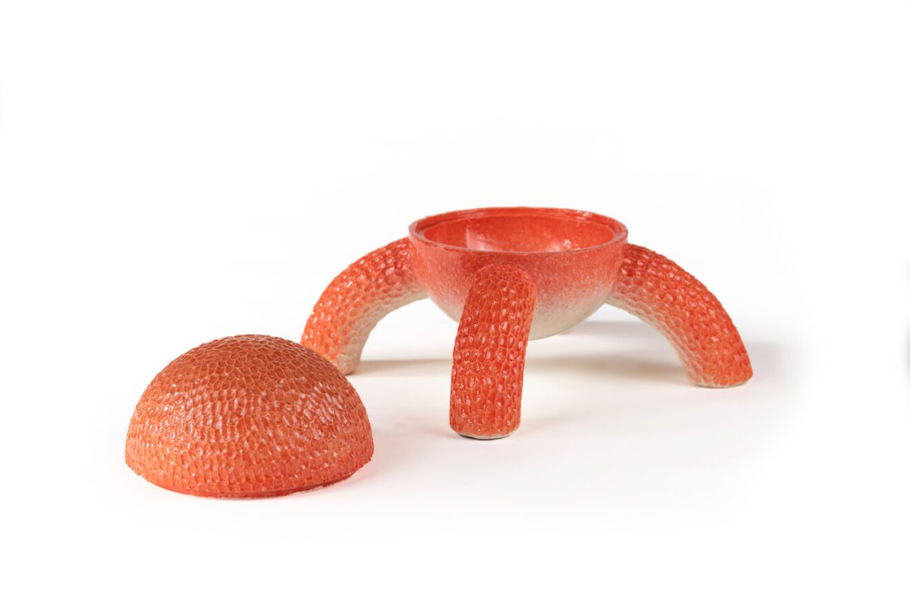 Dearth - Turtle - ADORNO DESIGN