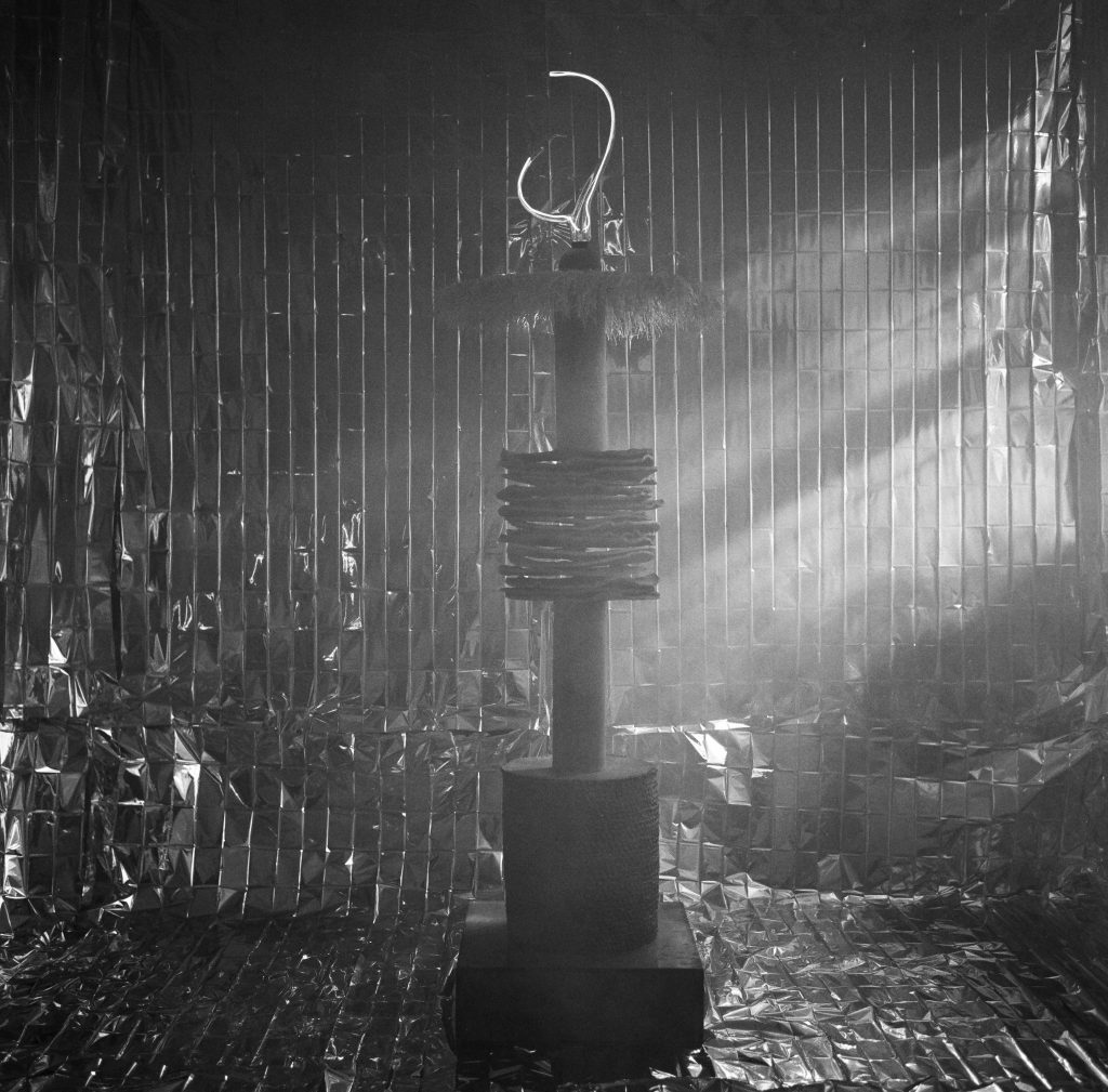 The Ancestors – Nightjar – Bird of Night by UAU | ADORNO DESIGN