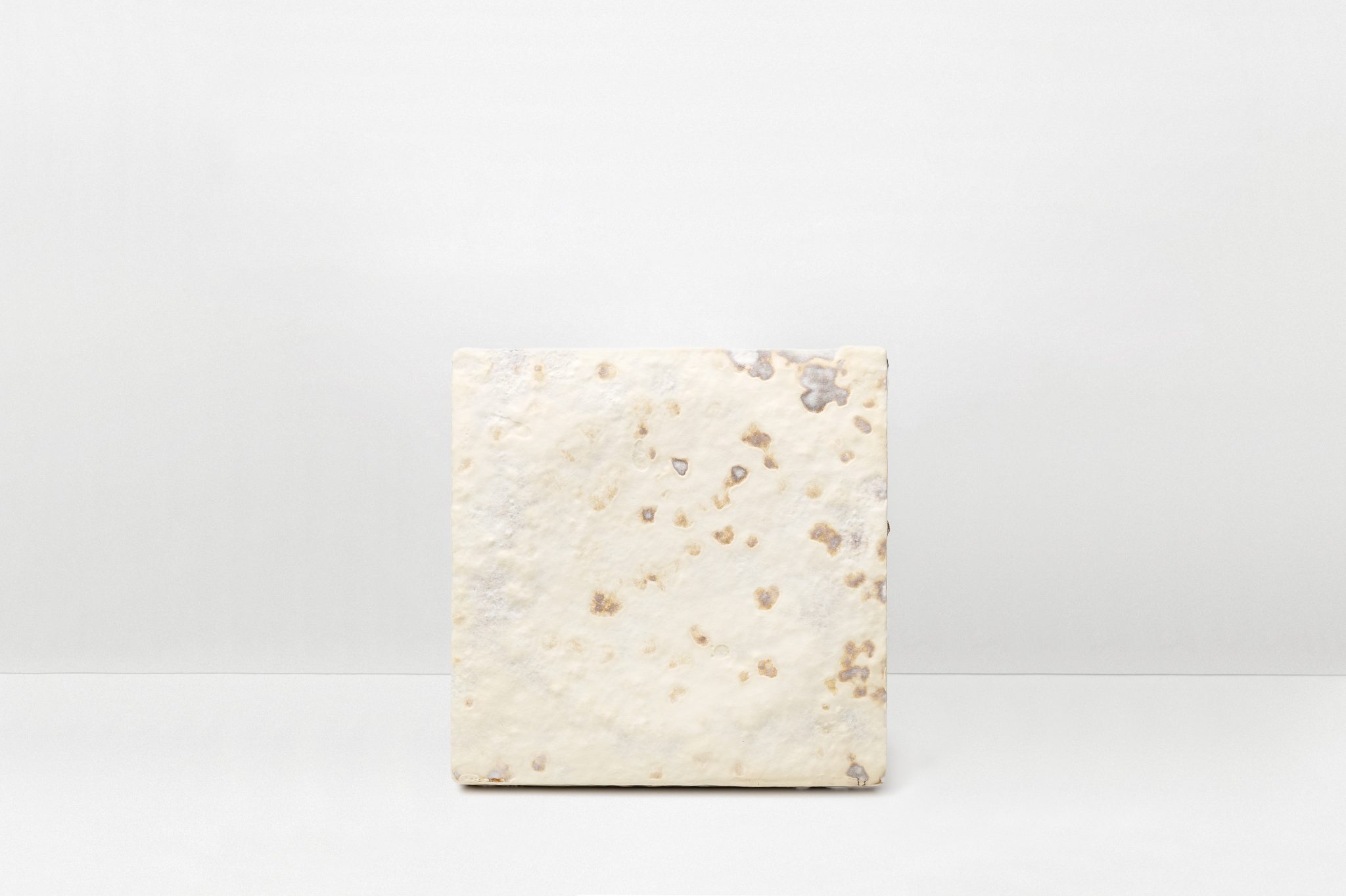 Mycelium Small Wall Panel by Myceen | ADORNO DESIGN