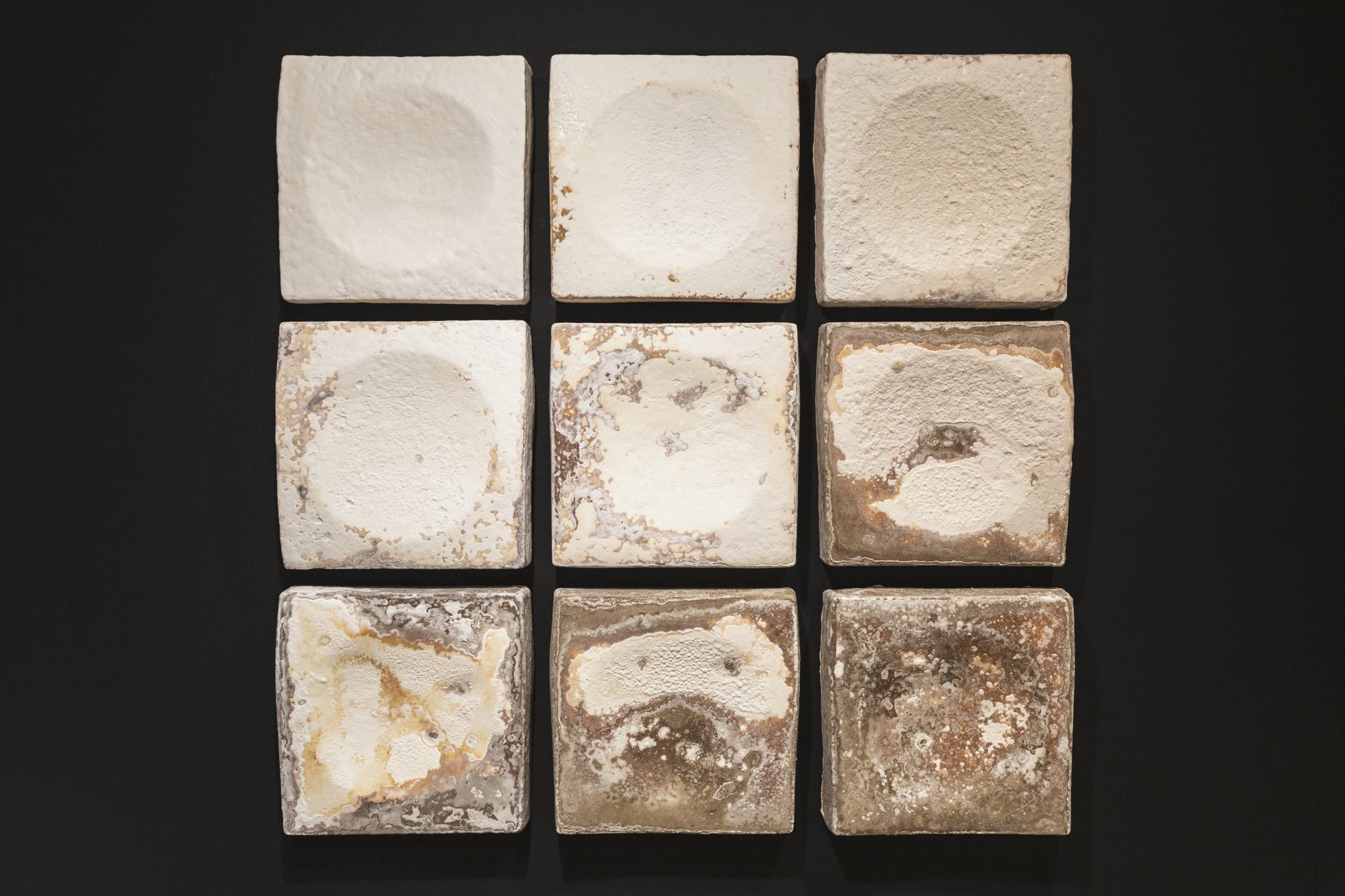 Mycelium Small Wall Panel by Myceen | ADORNO DESIGN
