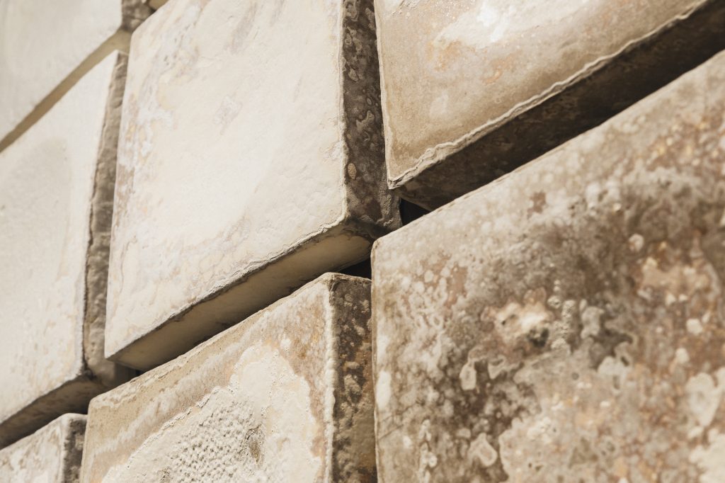 Mycelium Small Wall Panel by Myceen | ADORNO DESIGN