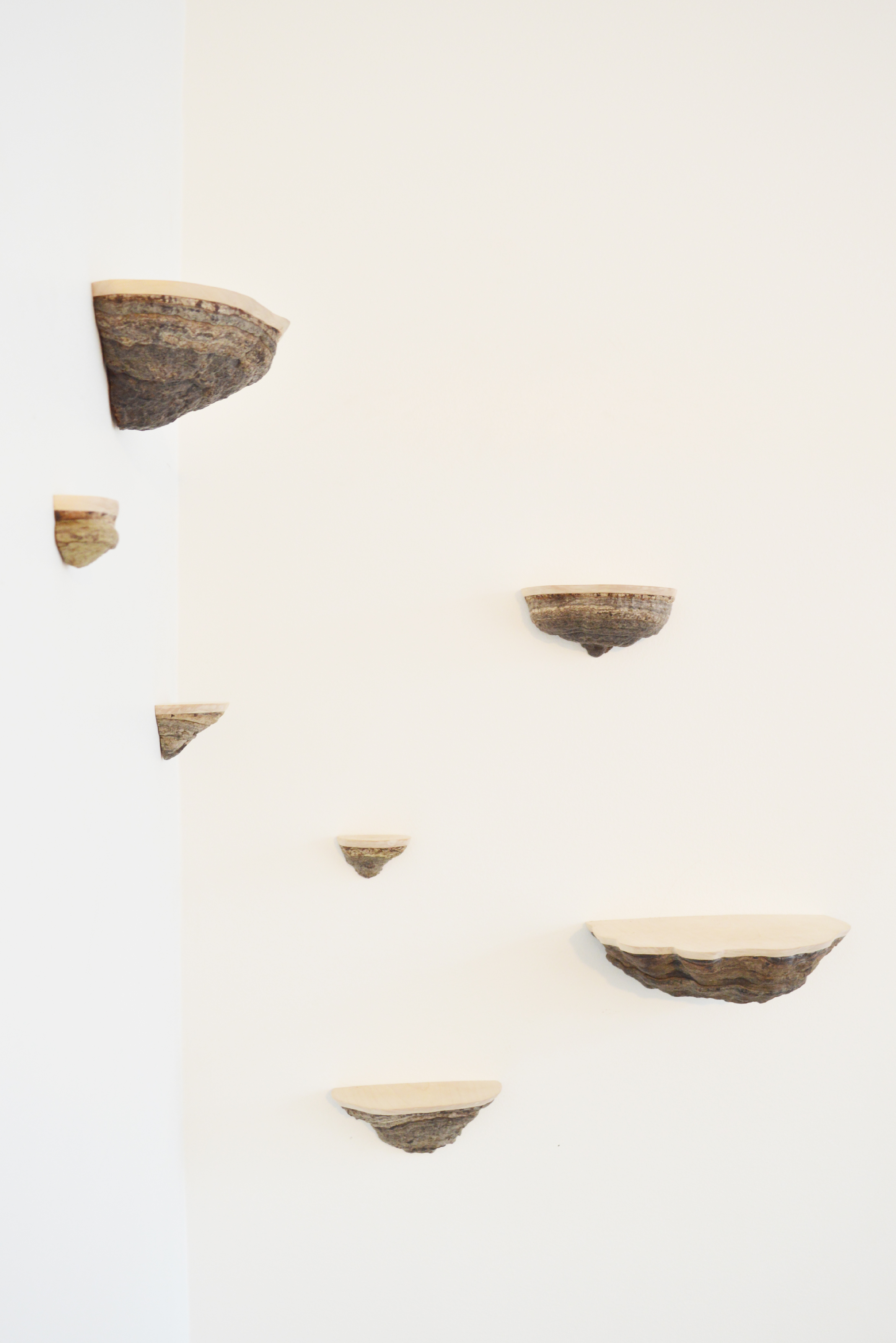 Ticka – Fungi Wall Shelf by Olle Sahlqvist | ADORNO DESIGN