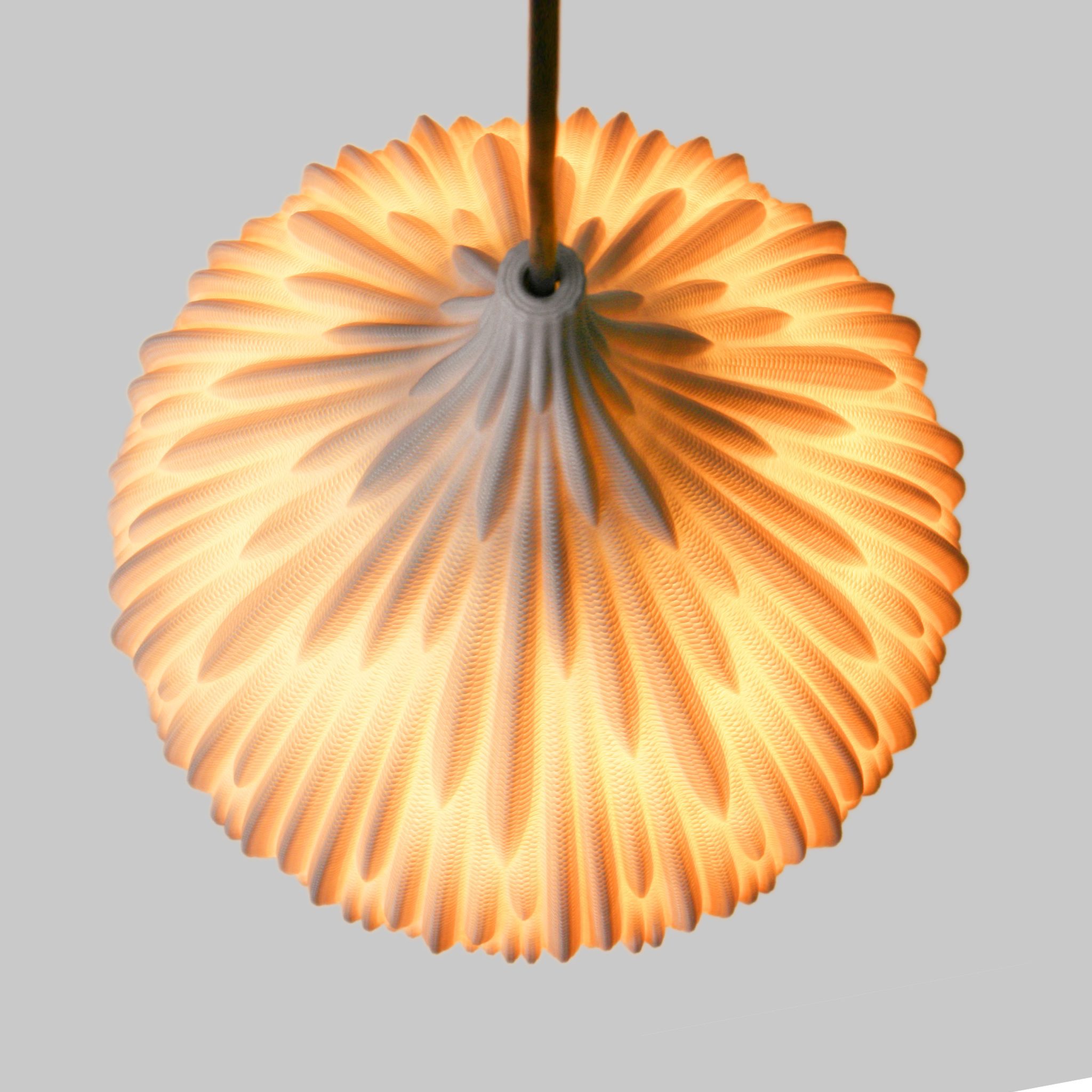 Flax – Biodegradable Ceiling Lamp by Drag And Drop | ADORNO DESIGN