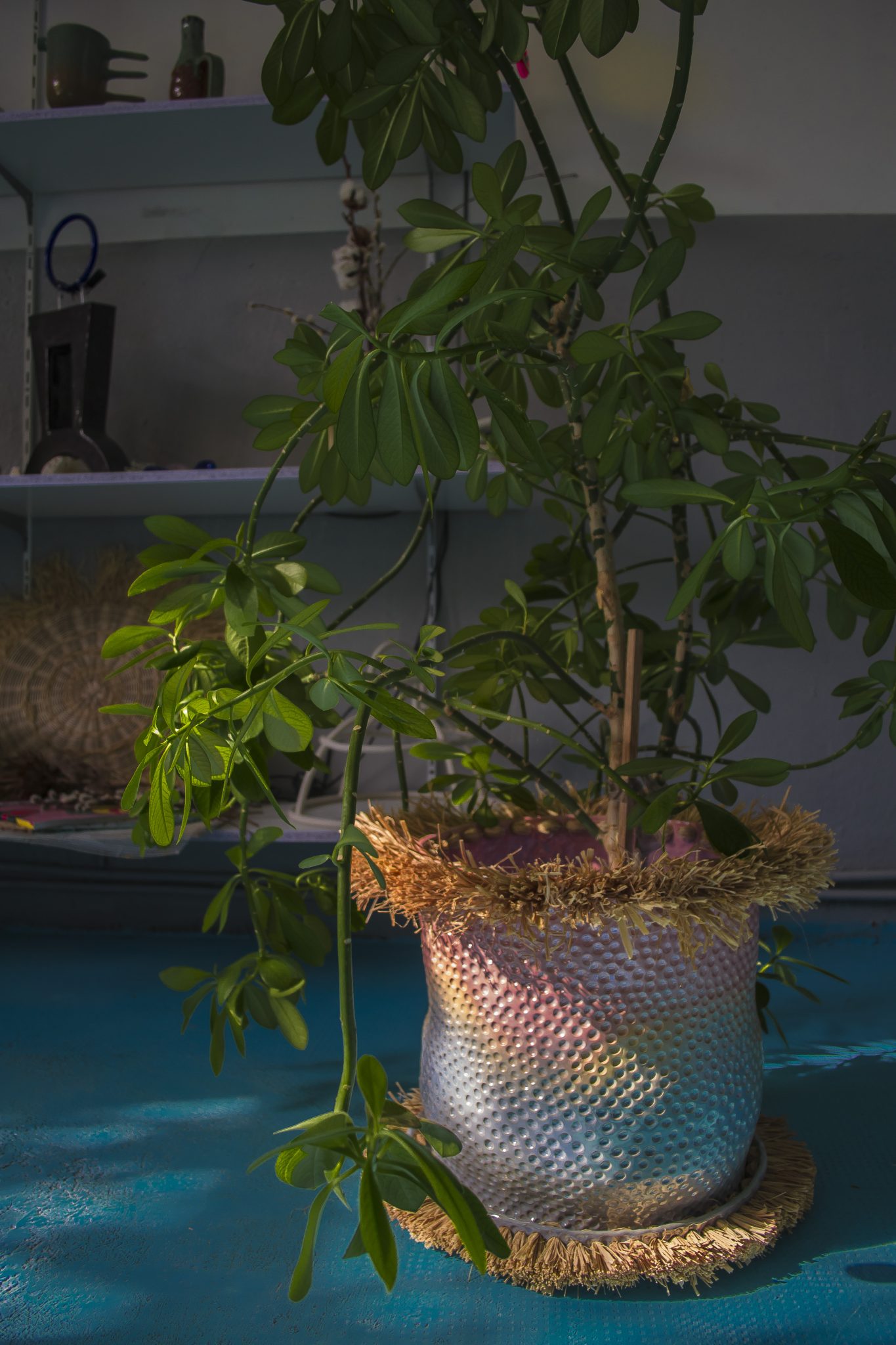 Sunray Venus Ceramic Pastel Flower Pot by UAU Studio | ADORNO DESIGN