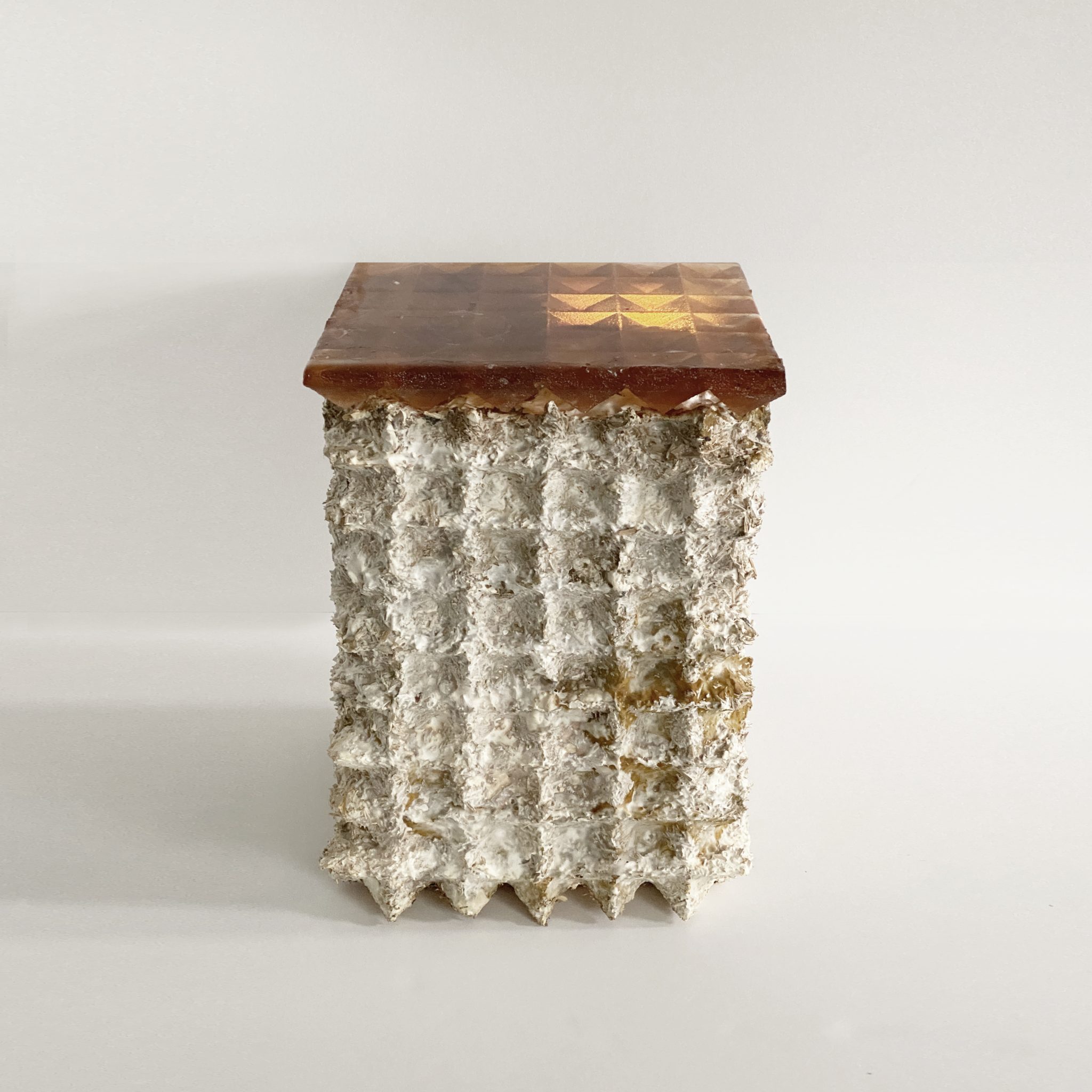 Picchu – Mycelium Sculpture & Side Table by Kamilla Csegzi Studio ...