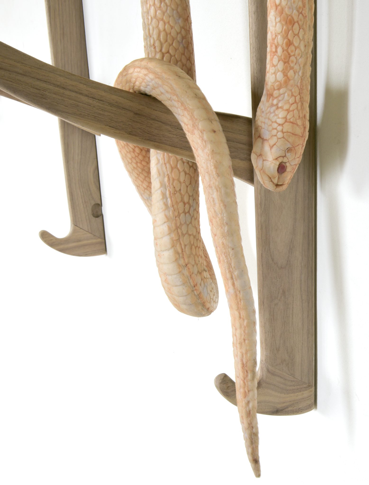 Vidly – Racking System by StorqueStudios | ADORNO DESIGN